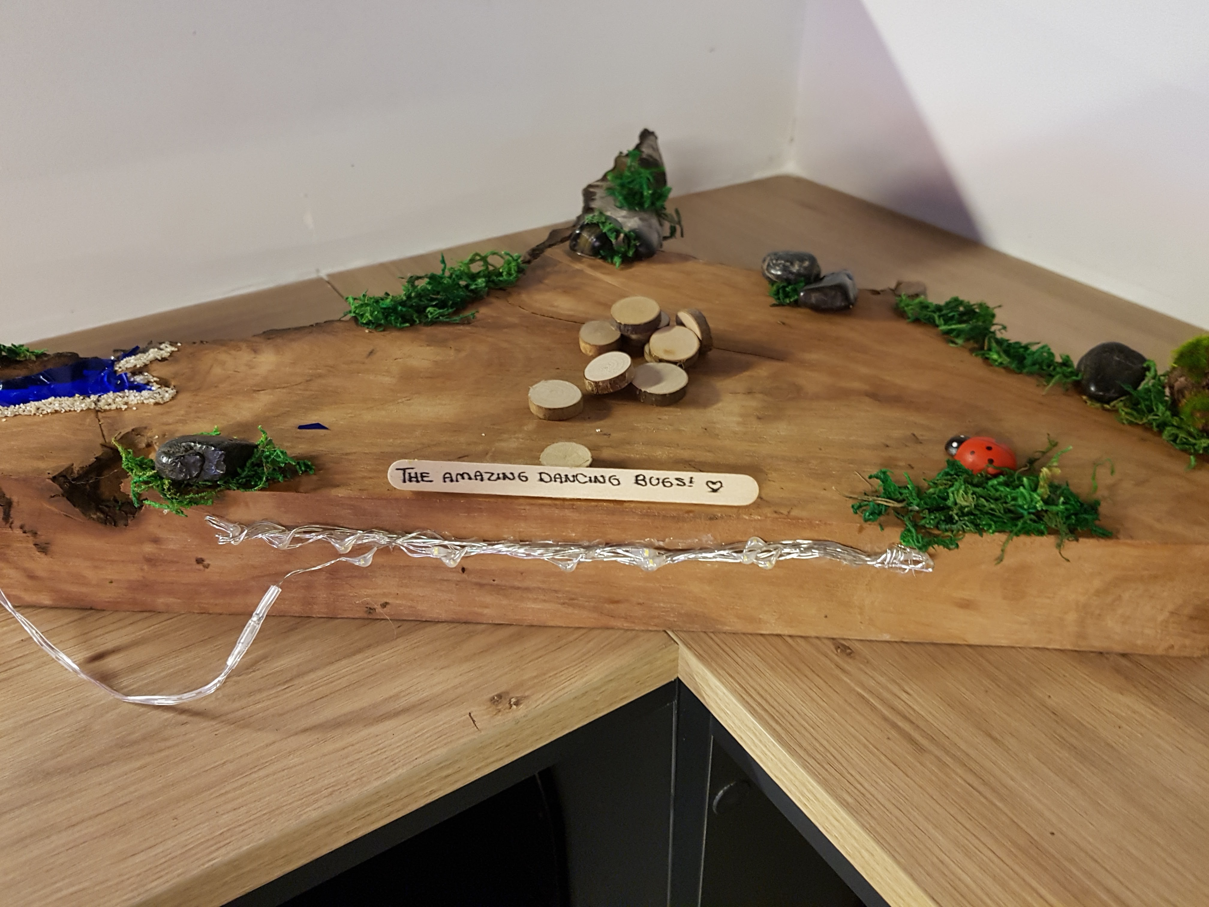 Stop Go Animation Landscape – All Hallows' School Library